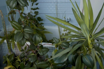 Tim Zarki - 58fbda21dde0302da62fb6667cebae34f5a5e866.jpg (1280×853) – SAVEE