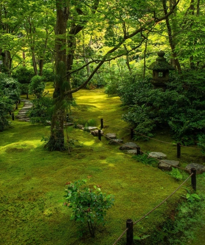 Pedro - Image – SAVEE