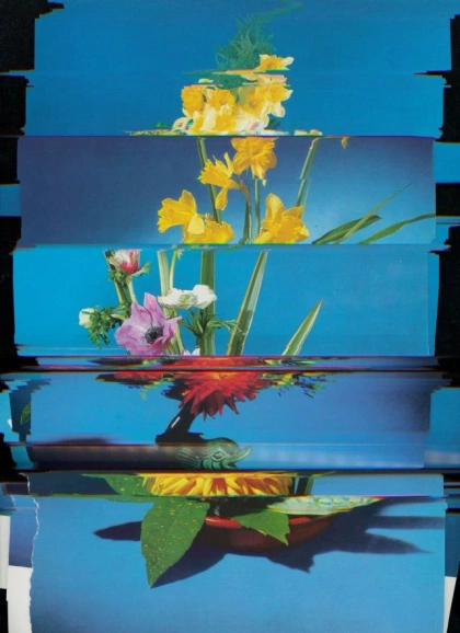 Andre do Amaral - Image – Savee