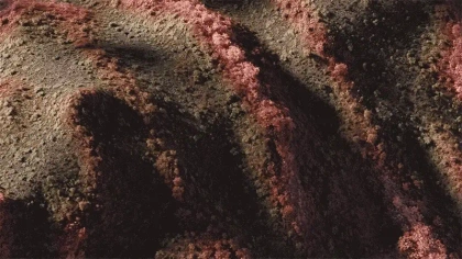 Ricardo Rey - Google Generative Brand Expressions 2 – Savee