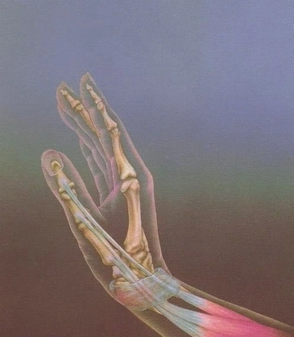 Mekwek - Image – Savee