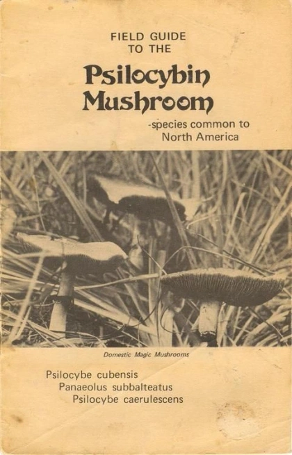 Max - Untitled – Savee