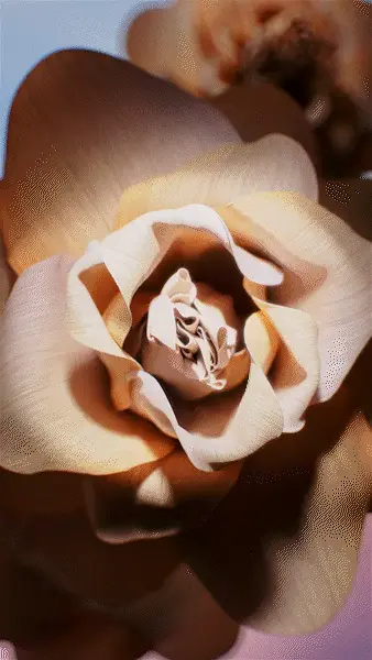 Yaroslav Leonenko - original_ea326fd3cea2708673fc3cd7023c431d.gif (338×600) – Savee