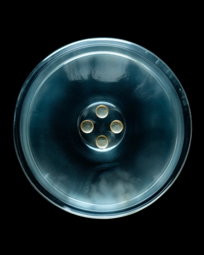 IhorSaveli - betuelb_Front_view_of_a_circular_translucent_button ...