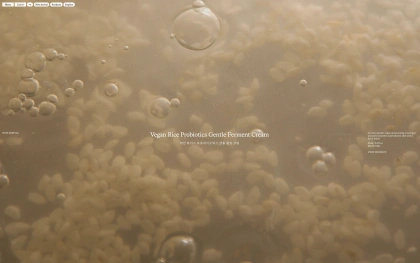 NAD - Screenshot 2023-12-17 at 12.27.05 – Savee