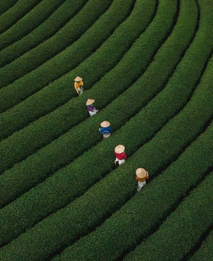 Bruno Borella - https – Savee