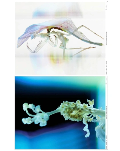 Raquel Villa - Instagram – Savee