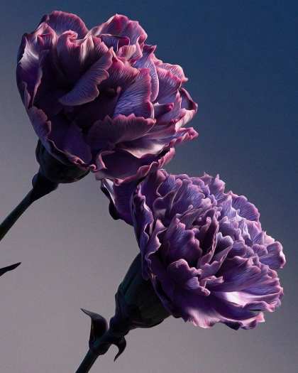 Raquel Villa - pouponpoupon_197824680_1122693641563688_6830391702969844607_n.jpg | Are.na – Savee