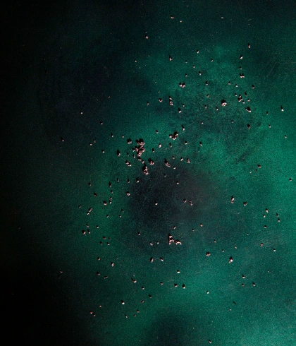 Dan Barkle - PHOTOGRAPHY PORTFOLIO by Ana Cuba – SAVEE