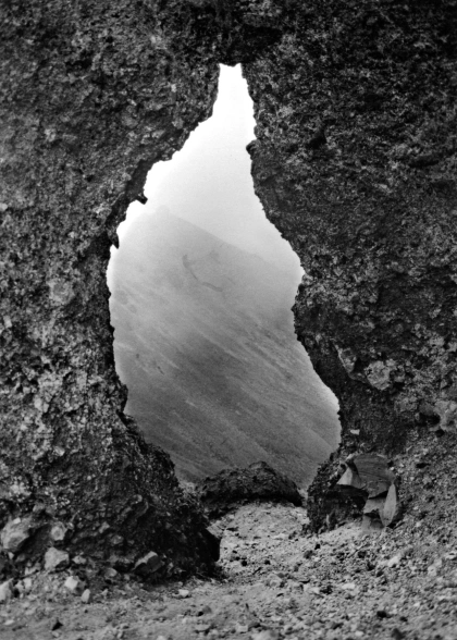 Sarah - No alt text provided for this image – Savee