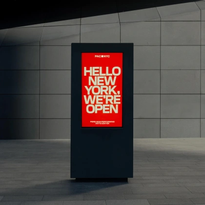 Jorge Luis Puron - PORTO ROCHA – SAVEE