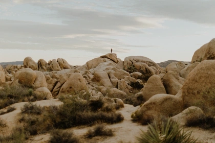 Nate - 19b5db61860623.5a7c2cf558303 – Savee