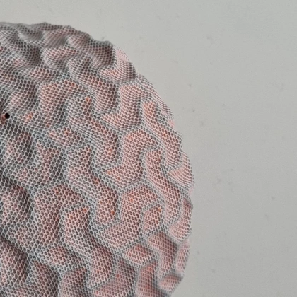 James Wolf - No alt text provided for this image – SAVEE