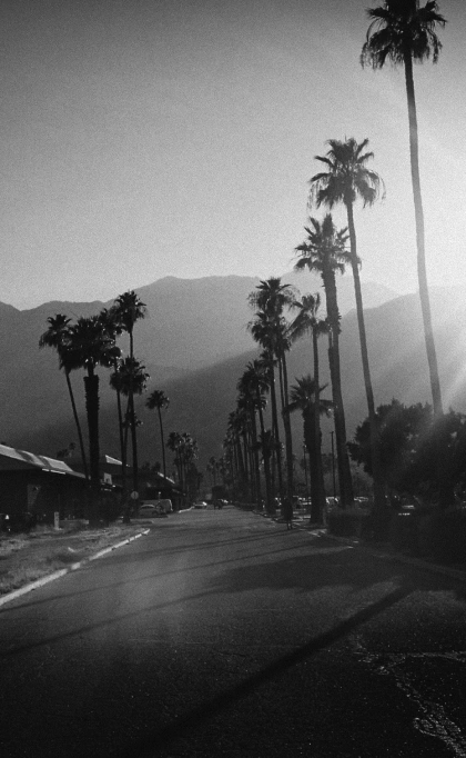 Nue Co - e_428 – Savee